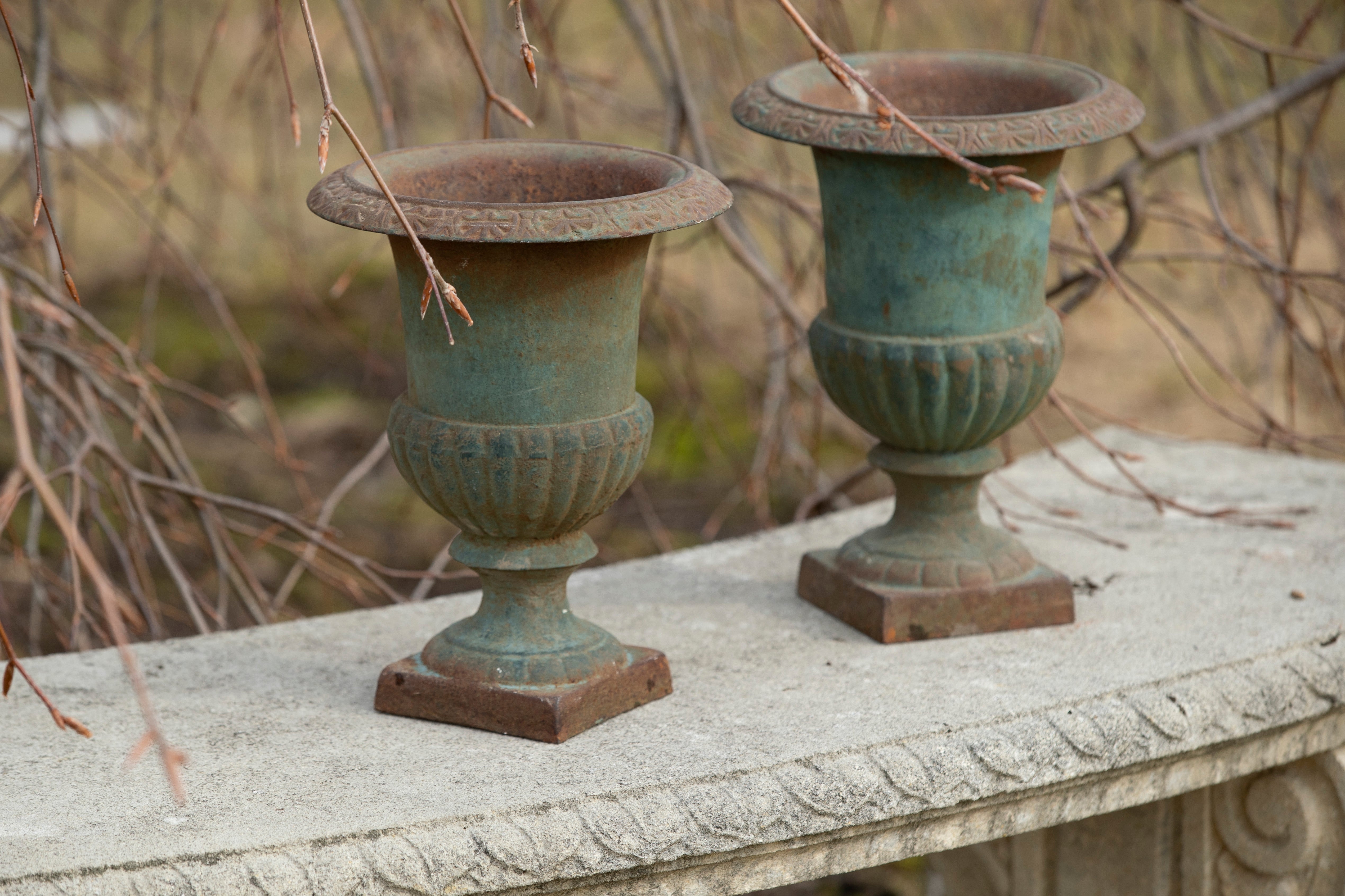 Antique French Cast Iron Urn - Pair – Hortus by Craig Bergmann